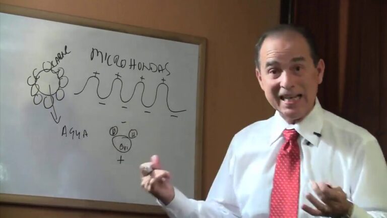 Cómo Calentar Comida en el Horno de Microondas de Manera Efectiva: Guía ...