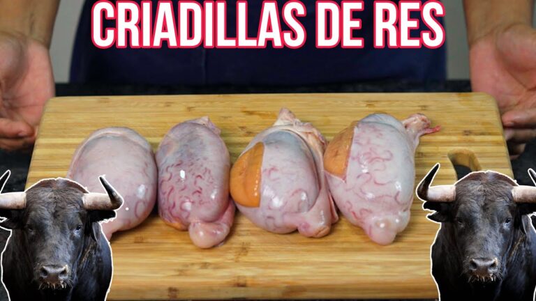 Descubre la Deliciosa Comida de Huevos de Toro: Recetas y Beneficios ...