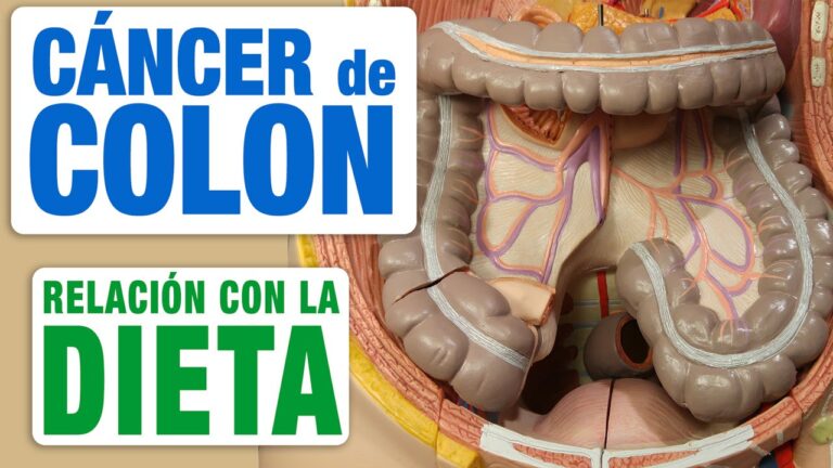 Alimentos Contra Cáncer de Colon: La Importancia de una Alimentación ...