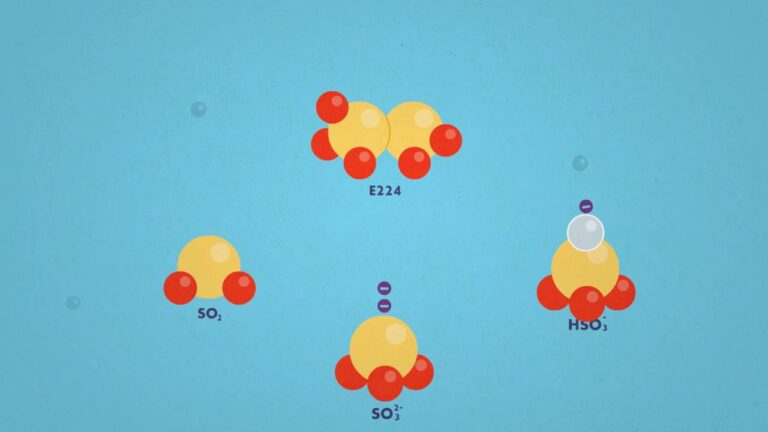Descubre qué son los sulfitos y cómo afectan a la comida: Todo lo que ...